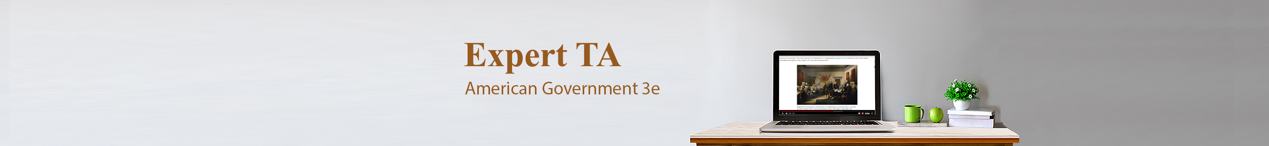 The Expert TA – American Government